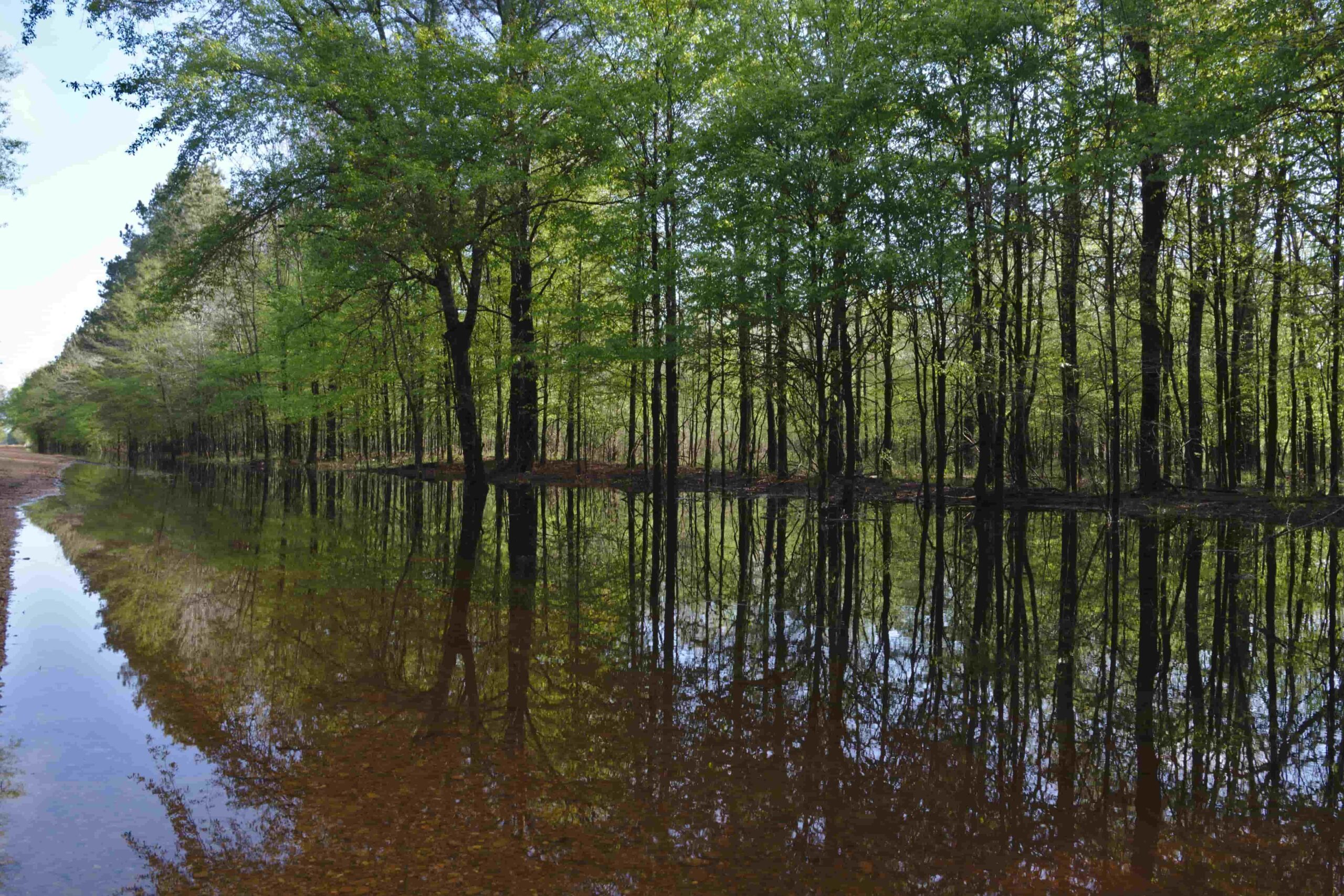 USFS Region 8 Gateways & Data Basin Training - Conservation Biology ...