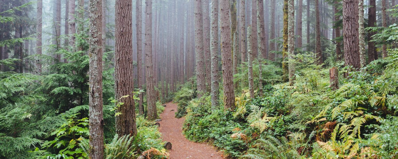 Trails Assessment and Planning Tool for Oregon and Washington ...