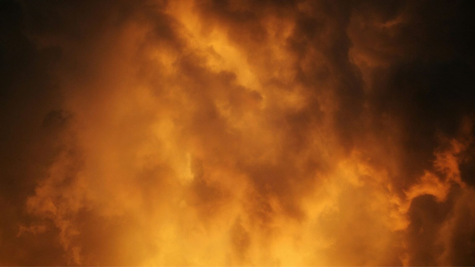 Simulating dynamics and mixed-severity fire regimes: A process-based ...