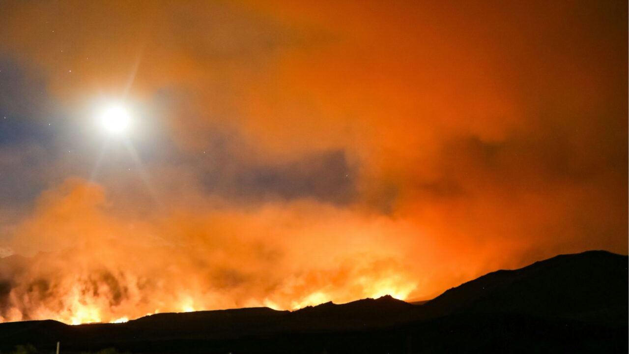 The status and challenge of global fire modeling - Conservation Biology ...