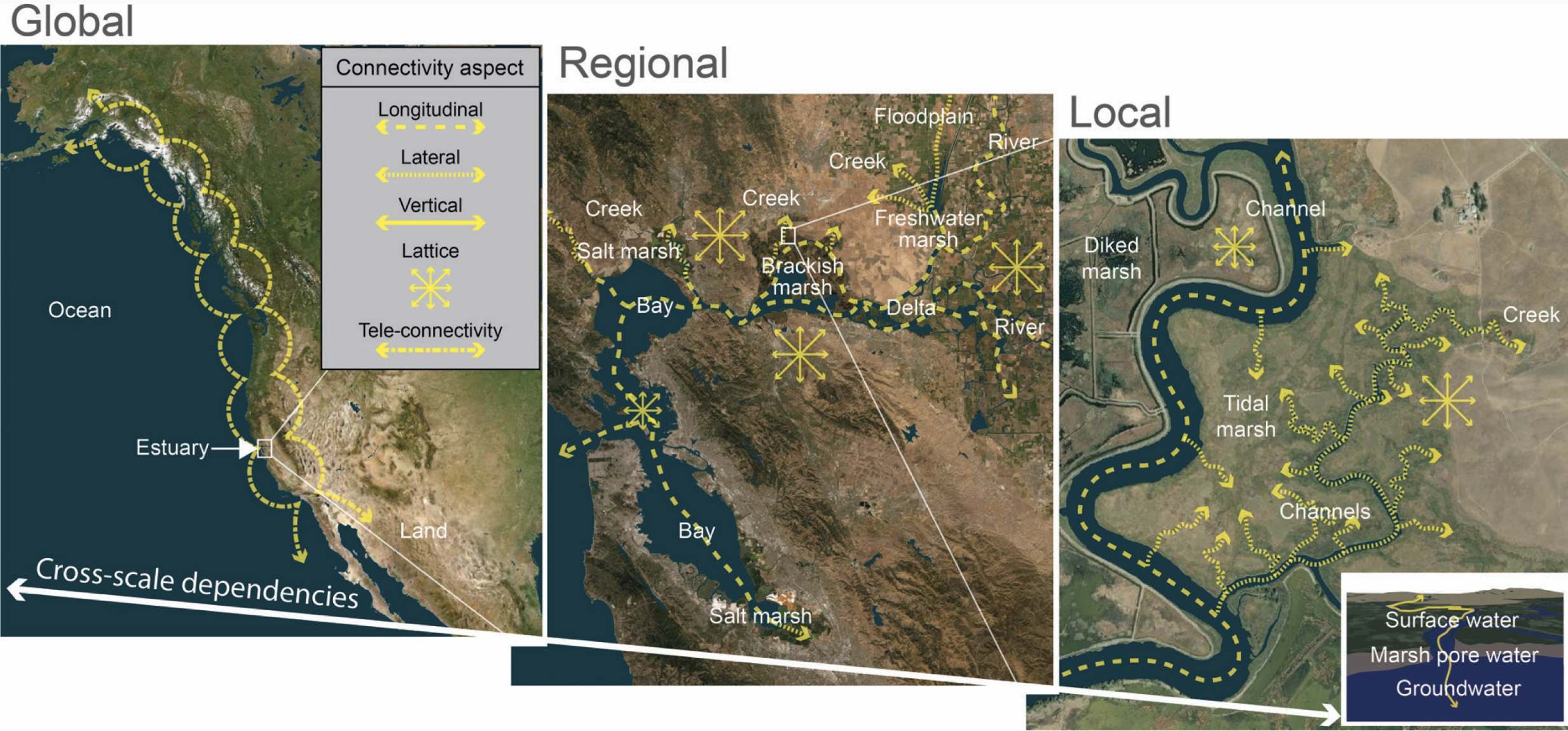 Governing Ecological Connectivity in Cross-Scale Dependent Systems ...