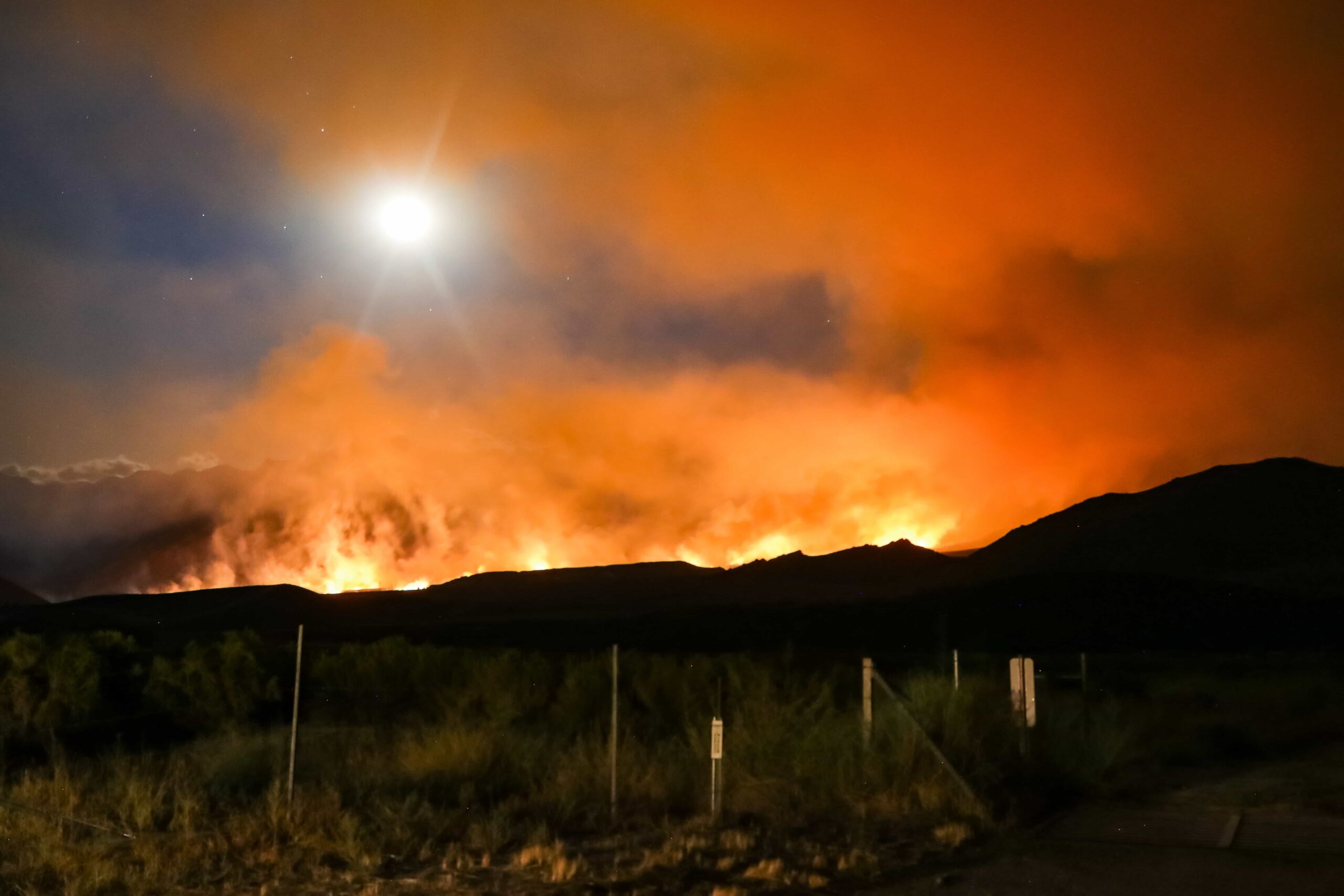 Mapping future fire probability under climate change: Does vegetation ...