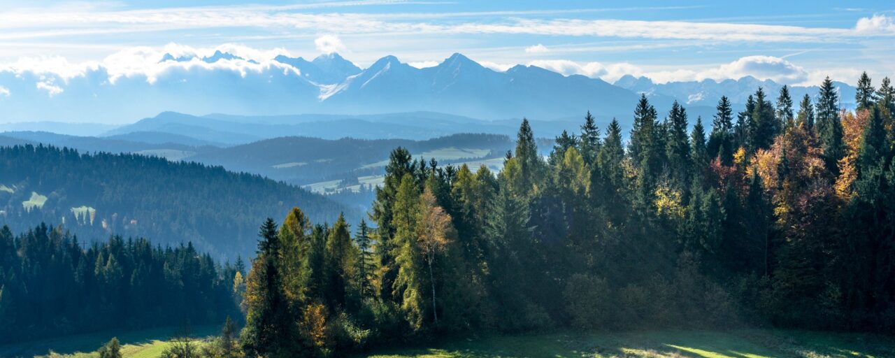 Recommendations for Monitoring of Species and Habitats in Sierra Nevada ...
