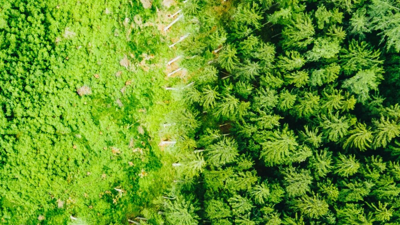 Global Vegetation Dynamics: Concepts and Applications in the MC1 Model ...