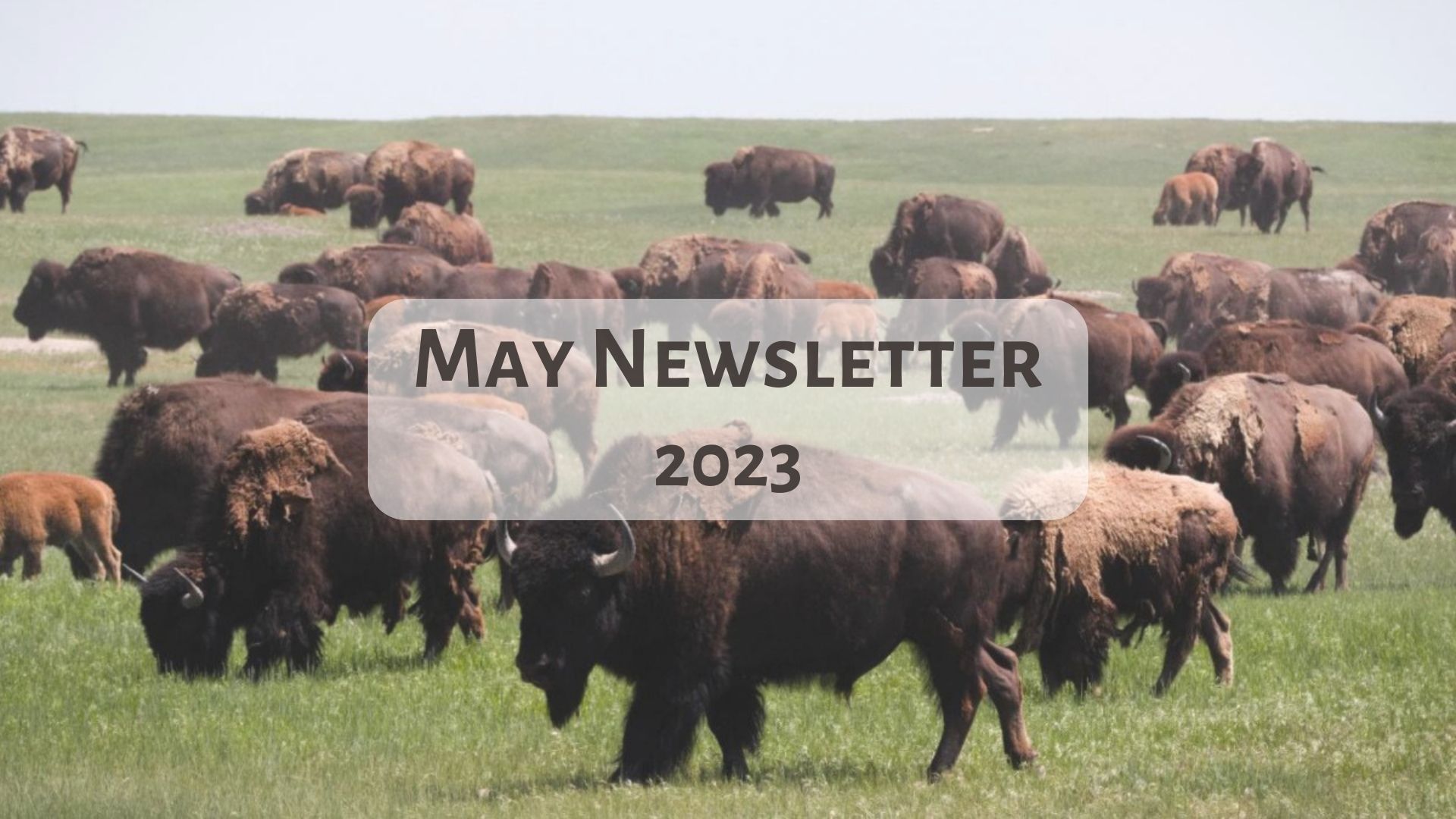 May 2023 Newsletter - Conservation Biology Institute